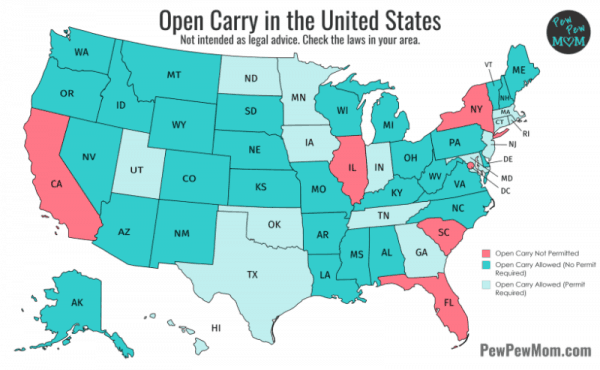 The Beginners Guide To Concealed Carry for Women - Pew Pew Mom